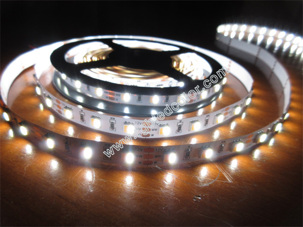 5050 two white color chips dimmable cct strip
