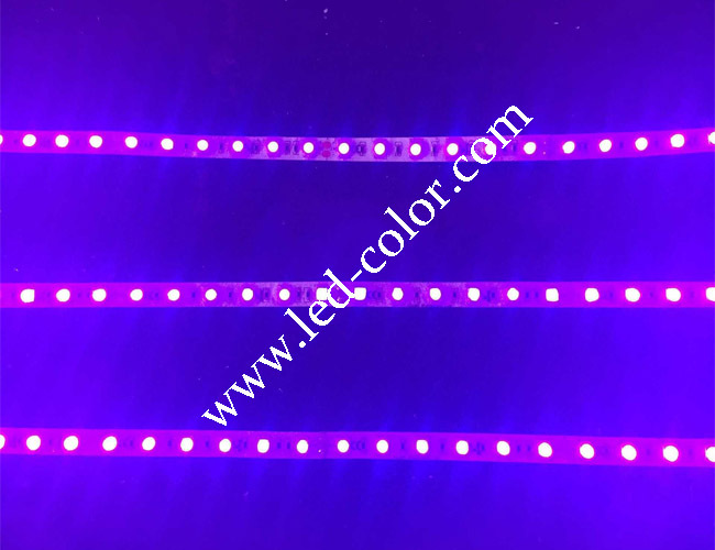 dc12v purple color led strip